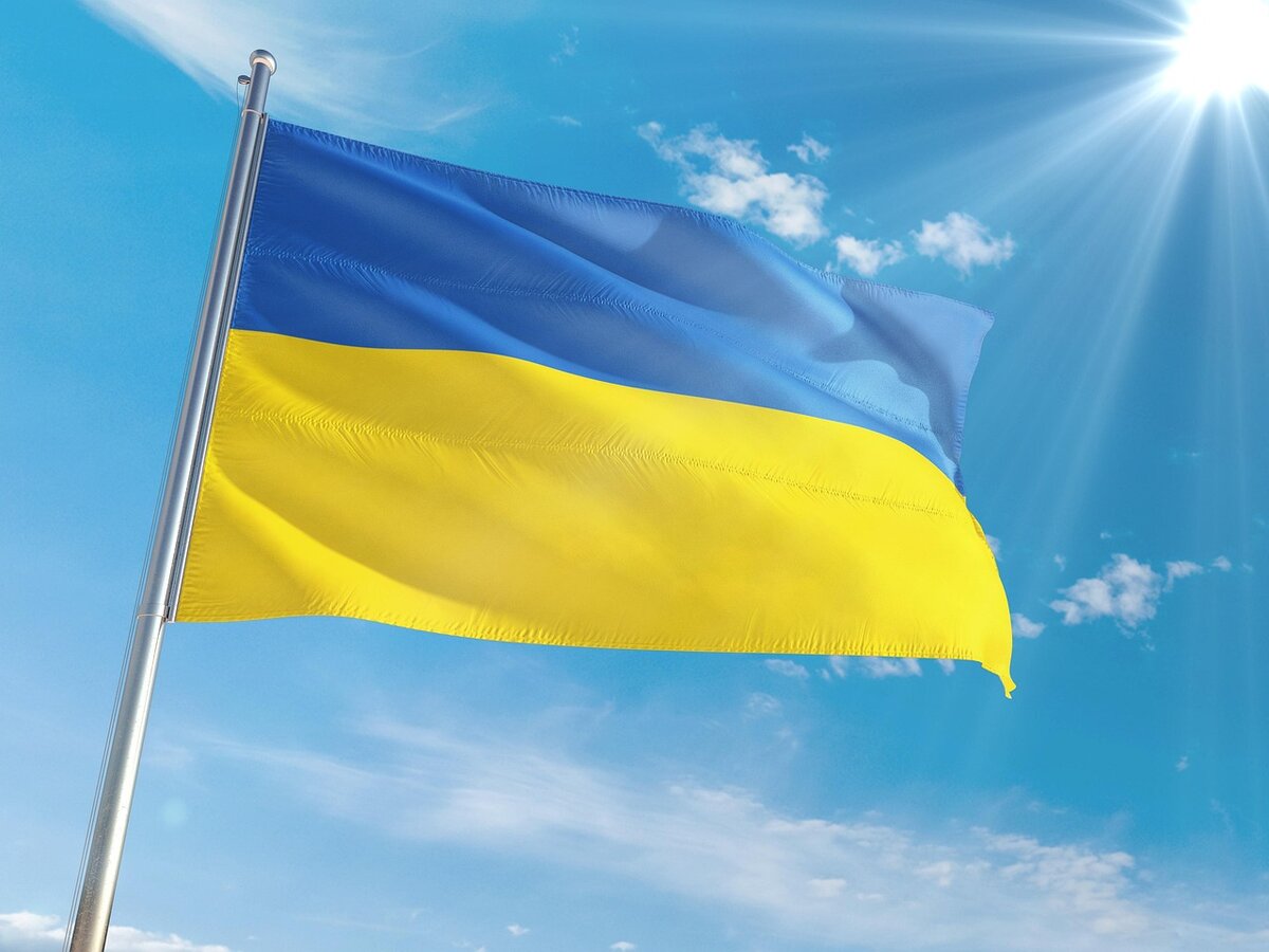 Pavežėjas kaltinamas Ukrainos vėliavos išniekinimu ir kurstymu prieš ...